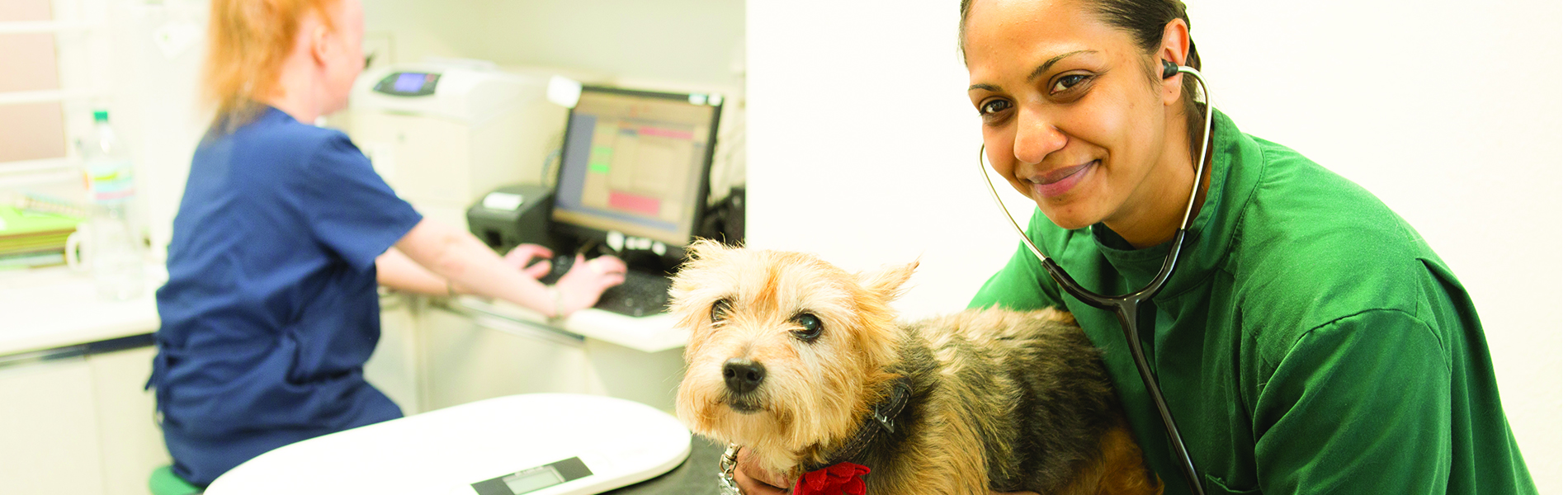 Barton Vet Clinic | Pet Care & Plans | Barton Veterinary