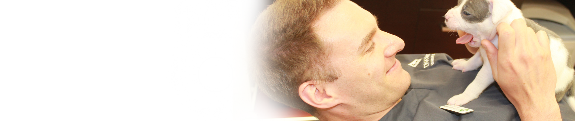 VIP Dog Plan | Health Checks & Savings | Barton Veterinary