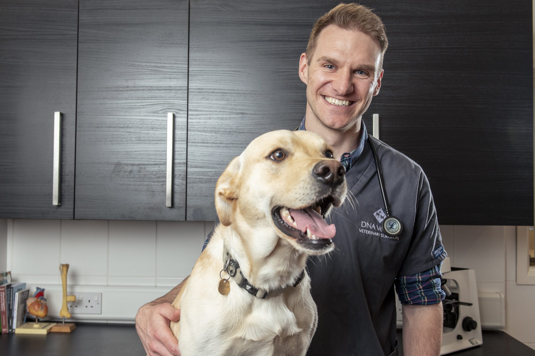 Barton Vet Clinic | Pet Care & Plans | Barton Veterinary